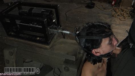 گالری اسباب بازی