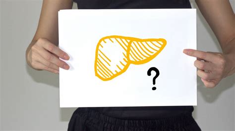 脂肪肝と診断された人が脂肪肝を改善するために行うべき つの食事ポイント管理栄養士が解説 ヨガジャーナルオンライン