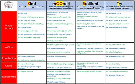 Expected Behaviours Matrix Gnowangerup Dhs