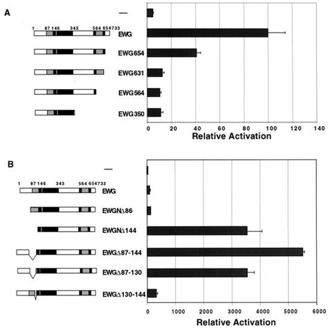 Evolutionarily Conserved Sequences In Both The N And C Terminal Regions Download Scientific