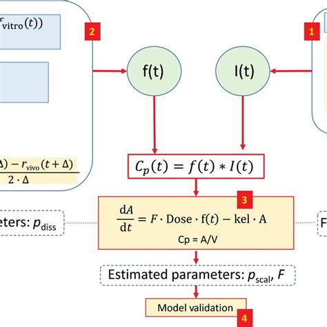 Schematic Of The In Vitroin Vivo Correlation Ivivc Analysis