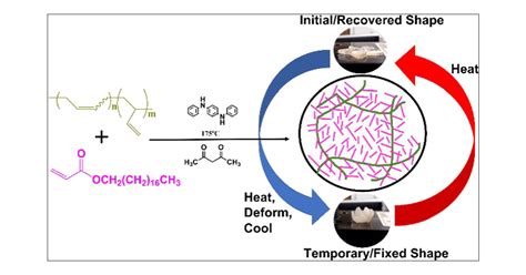 Thermal Annealing Of High Cis 14 Polybutadieneoctadecyl Acrylate