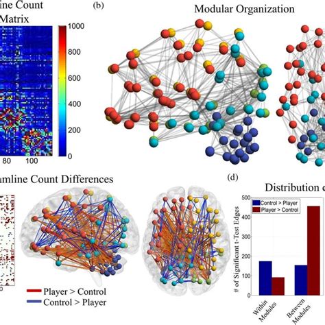 Structural Network Organization And Differences Related To Expertise