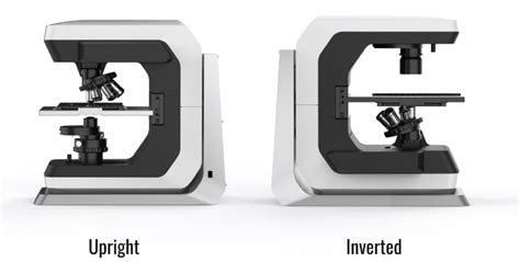 Revolution Discover Echo