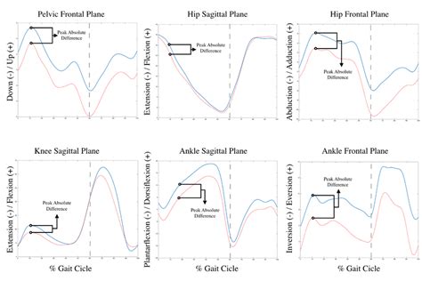 the graphs below show angular behavior of the pelvis in frontal plane