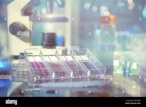 Scientific Background With Modern Histopathology Tools Stained Microscopic Slides Of Patient