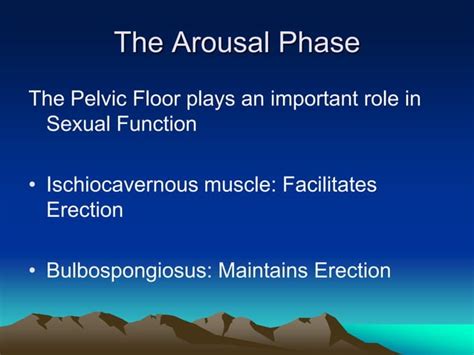 The Physiotherapist And Good Sex The Role Of The Pelvic Floor In Male Sexual Dysfunction Dr