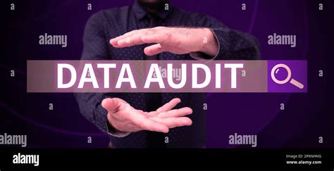 Sign Displaying Data Audit Business Idea Auditing Of Data To Assess Its Quality For A Specific