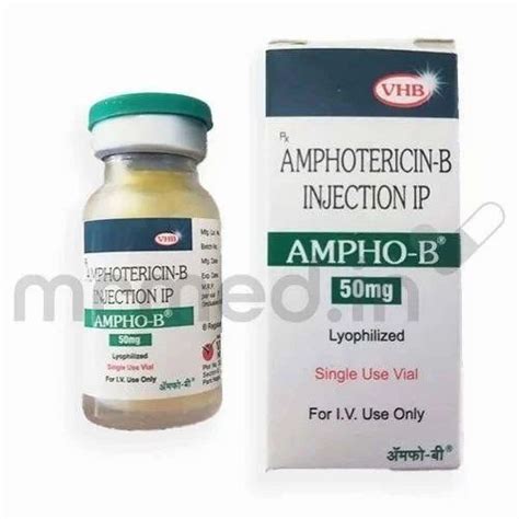 Ampho B 50mg At ₹ 185vial Amphotericin B Injection In Vijayapura Id 2856298847348