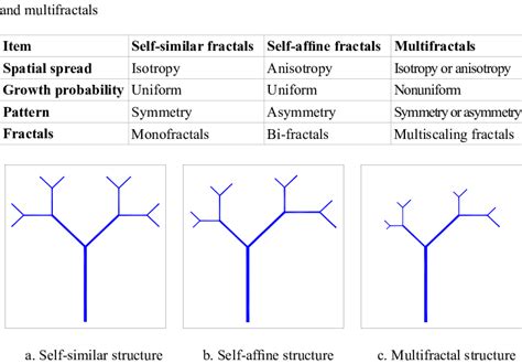 the similarities and differences between self similar fractals