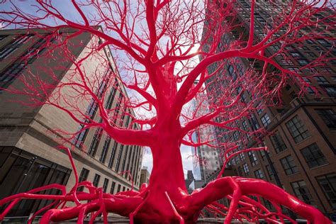 A Pink Old Tree On The High Line Archipanic