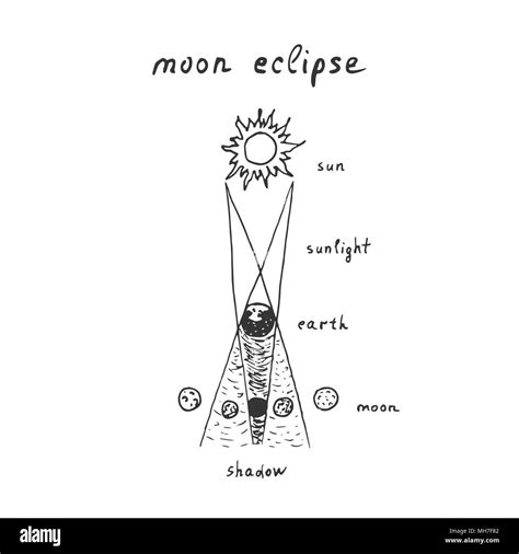 Lunar Eclipse Drawing Lunar Eclipse Lunar Phase New Moon Full Moon Png 1600x1600px Lunar
