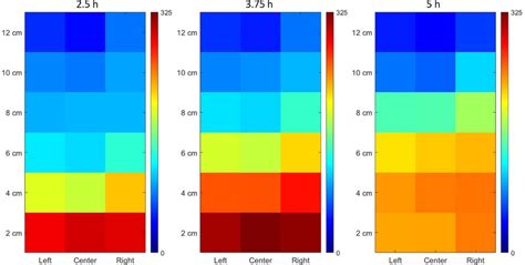 Temperature Distribution In A Vertical Section Of The Sample For The Download Scientific