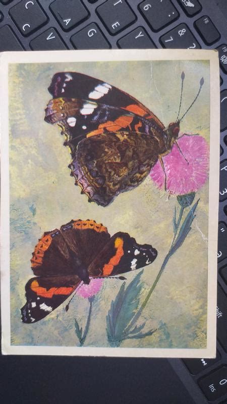 Листівка 1976 актуально — ціна 7 грн у каталозі Листівки і конверти Купити товари для дому та