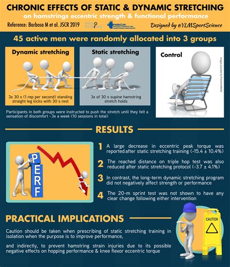 Chronic Effects Of Static And Dynamic Stretching On Hamstrings Eccentric Strength And Functional