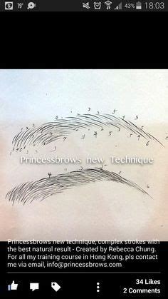 Eyebrow Microblading Pattern Maquiagem Definitiva Sobrancelha Cabelo E Beleza