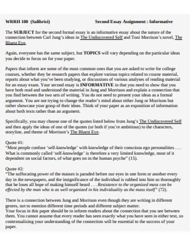 25 Informative Essay Examples To Download