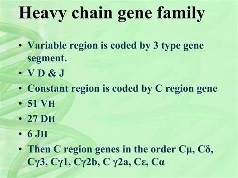 Antibody Diversity Presentation Pdf