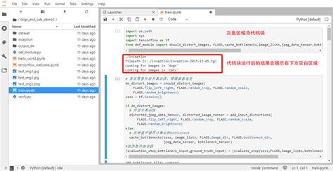 jupyter lab在线运行矩池云教程 jupyter在线运行 csdn博客