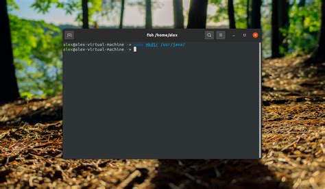 Установка Java в Linux Losst