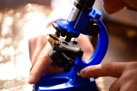 Microscope And Human Hands A Laboratory Technician Conducts Research