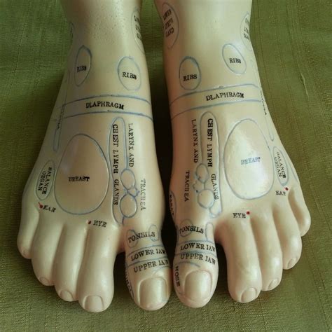 Feet Mirror The Body Foot Reflexology Reflexology Reflexology Massage
