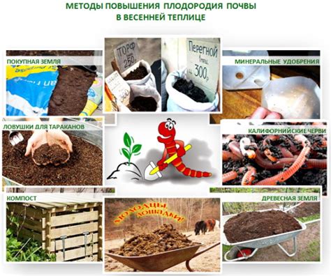 Грунт в теплице. Подготовка весной для томатов, огурцов
