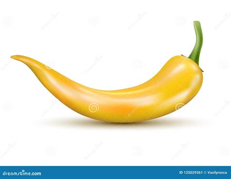 Fresh Yellow Hot Chili Pepper Kitchen Organic Vector Spicy Taste Chili