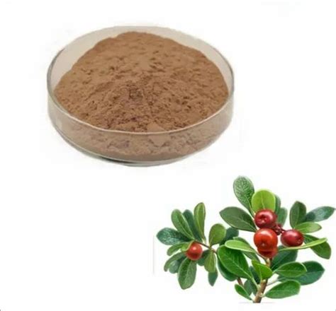 Uva Ursi Extract Powder Packaging Type Hdpe Drum Packaging Size 1 25 Kg At ₹ 1199kg In New Uva Ursi Extract Powder Packaging Type Hdpe Drum Packaging Size 1 25 Kg At ₹ 1199kg In New