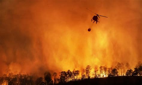 Carlo Narduzzi On Linkedin Idaho Introduces Bill To Create Wildfire