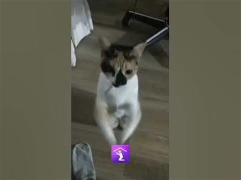 Joones un fort - YouTube