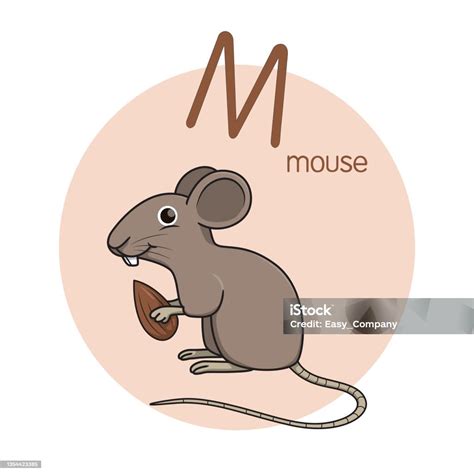 알파벳 문자 M 어퍼 케이스 또는 어린이 학습 연습 Abc에 대 한 대 문자와 마우스의 벡터 그림 귀여운에 대한 스톡 벡터 아트 및 기타 이미지 Istock