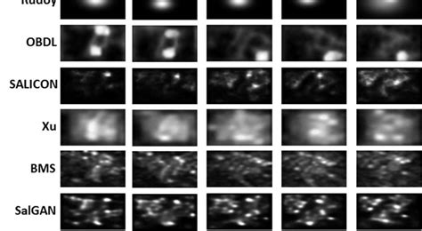 Saliency Maps Of Several Frames Randomly Selected From A Single Test Download Scientific