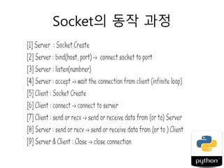 Python Socket Programming PDF
