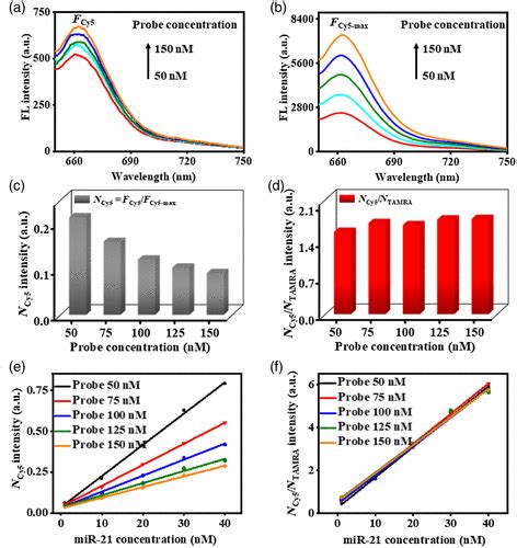 A Cell Anchored And Self Calibrated DNA Nanoplatform For In Situ Imaging And Quantification Of