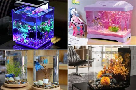 ۳۵ مدل آکواریوم کوچک رومیزی؛ زیبایی و آرامش در فضای کوچک نشیمن ماگرتا