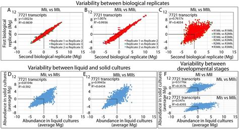 Quantitative Transcriptomic Data Analysis Correlation Of Transcription