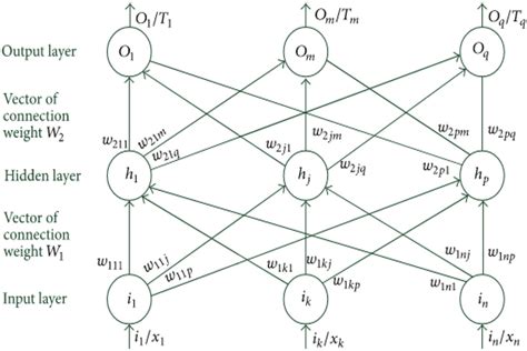 The Topology Framework Of Bpann Download Scientific Diagram