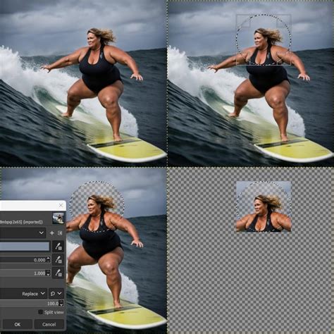 Selection Color To Alpha Not Working Right Please Help Rgimp