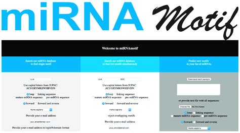 web server interface enabling three modules available to the user