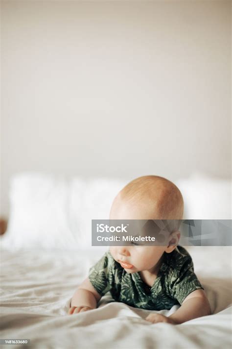 아기는 방 집 집에서 침대에서 기어 다니며 호기심 많은 놀이 육아 및 유아 아기를 모형으로 만듭니다 귀여운 작은 신생아 아이들은