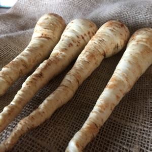 How To Grow Parsnip Vital Seeds