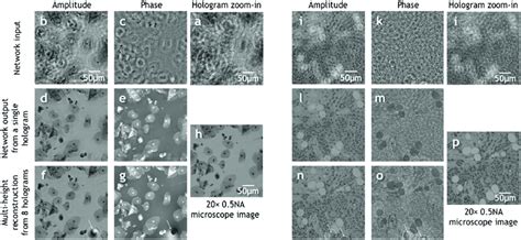 retrieval of phase and amplitude with a physics informed ml engine