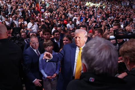 Trump Watches Ufc Fight In Miami With Musk And A Smattering Of Cabinet