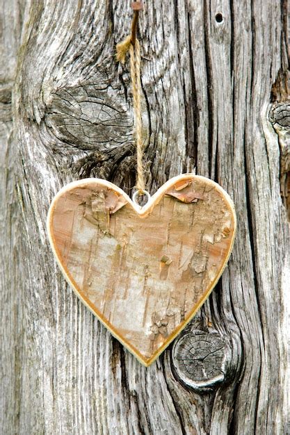 Premium Photo Heart Shape Hanging On Tree Trunk