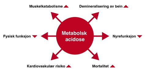 Betydning Og Behandling Av Metabolsk Acidose Ved Kronisk Nyresykdom
