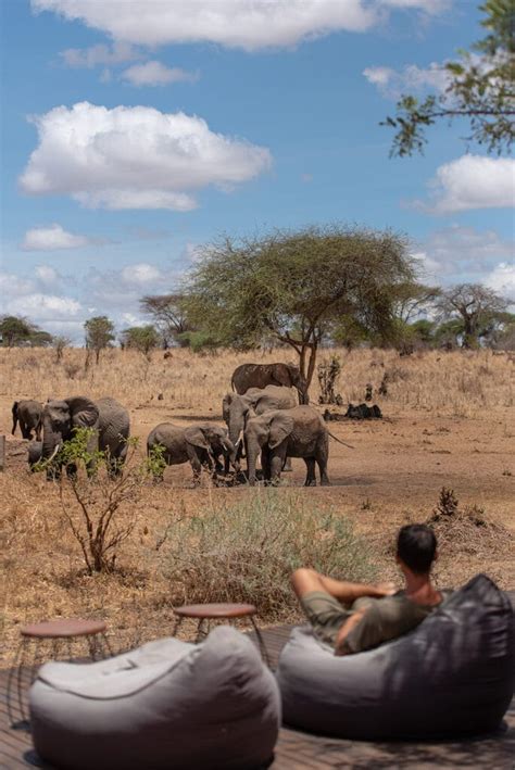 Nimali Tarangire Camp Luxury Safari In Tanzania