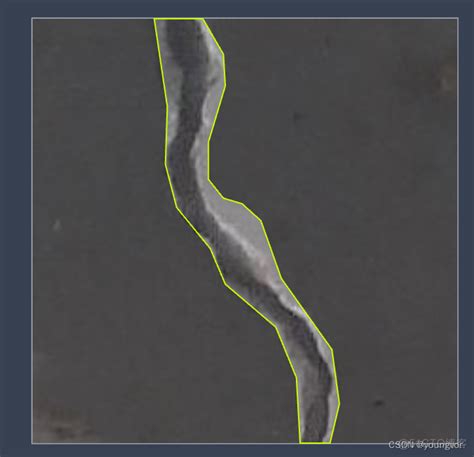 【图像 语义分割数据集汇总】语义分割coco Json格式数据集~各种数据集 51cto博客 语义分割的数据集