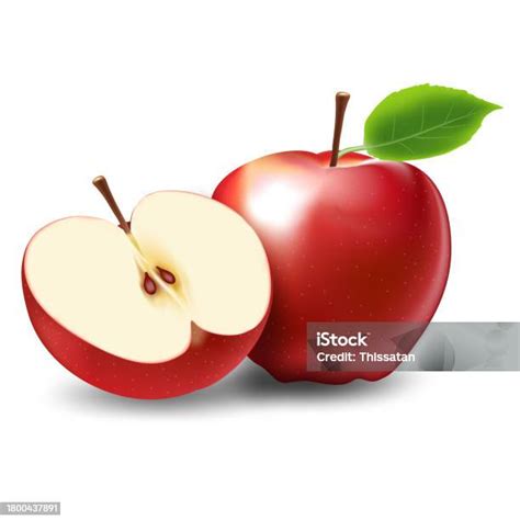3d 현실적인 빨간 사과 고립 된 흰색 배경입니다 벡터 일러스트 레이 션 사과의 전체와 조각 사과 빨강에 대한 스톡 벡터 아트 및 기타 이미지 Istock