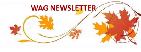 Wag Fall Newsletter Gymnastics Ontario